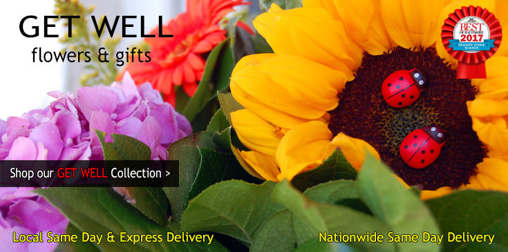 Radebaugh Florist and Greenhouse - Florist for Towson, Lutherville ...