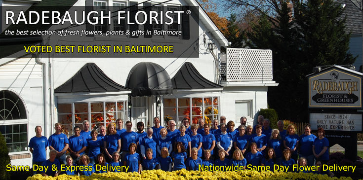 Radebaugh Florist and Greenhouse - Florist for Towson, Lutherville ...