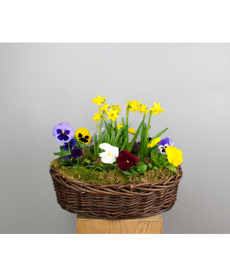 Florist Baltimore - Flower Delivery Baltimore MD Florist | Radebaugh ...